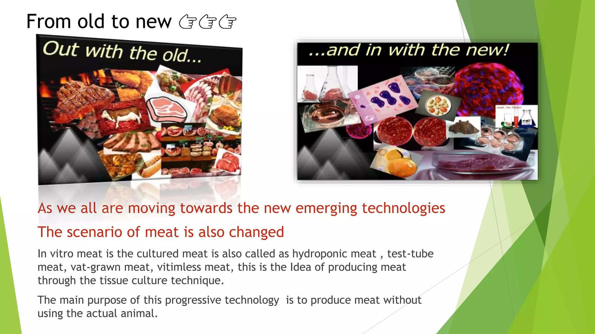 Lab - cultured meat | PPTX