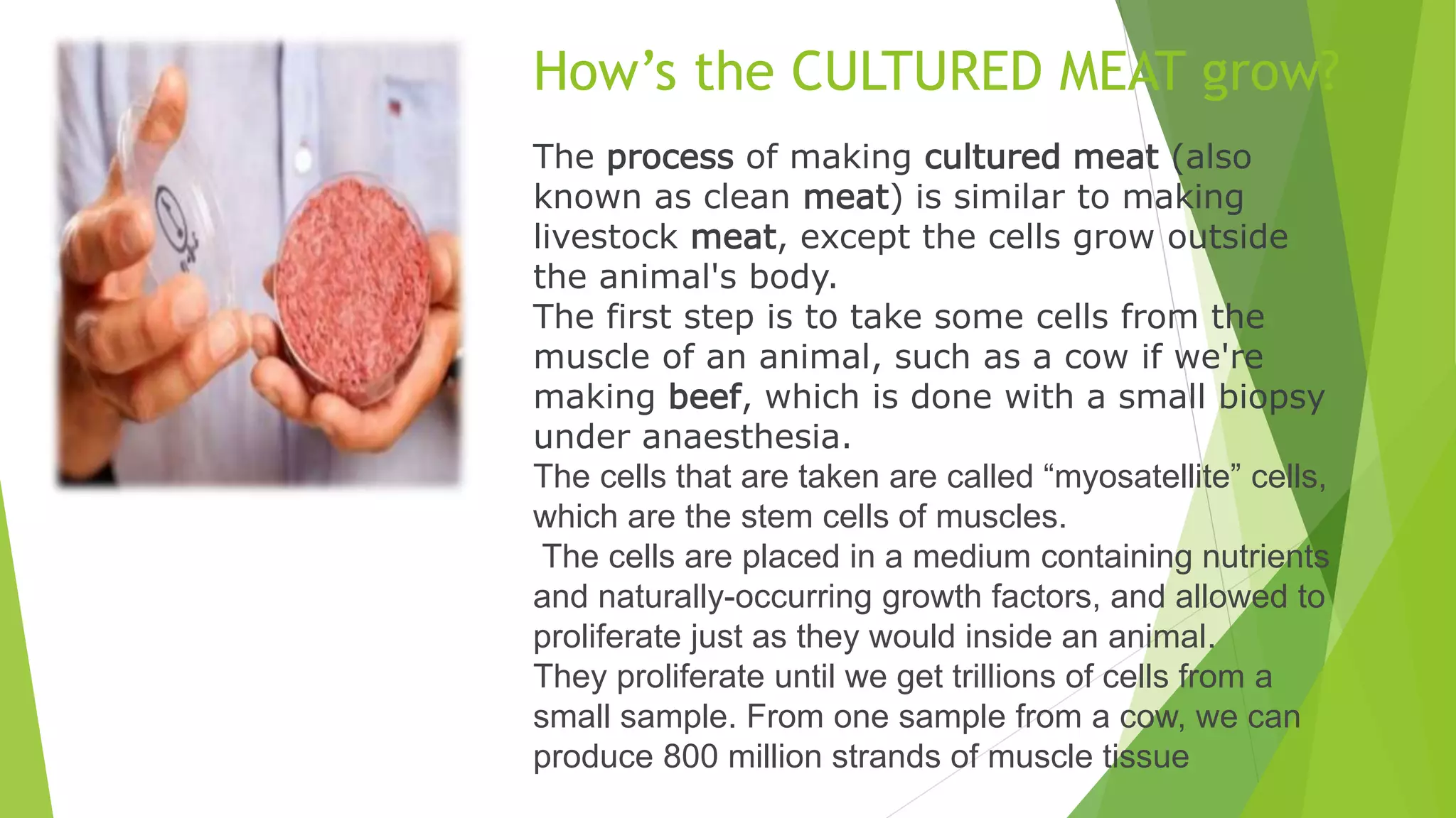 Lab - cultured meat | PPTX