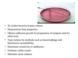 0culture techniques.ppt | Chemistry | Science