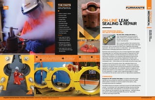 Furmanite_ServicesBrochure_AllPages_FINAL_Rev1_SPR | PDF