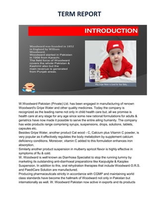 TERM REPORT MATHS | PDF