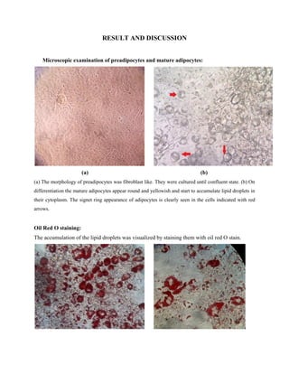 Result and Discussion_Dabur | PDF