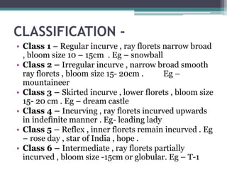 0d4994bf-b33b-4a2f-9236-23ba8962d5fb.pptx