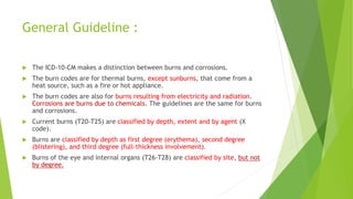 Burns Corrosion Guidelines | PPT