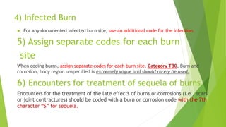 Burns Corrosion Guidelines | PPTX
