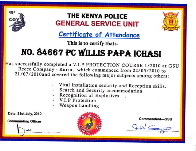 VIP Protection CSE cert | PDF