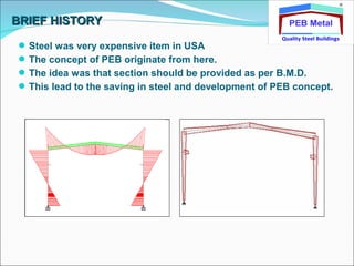 Presentation on PEB Metal | PDF