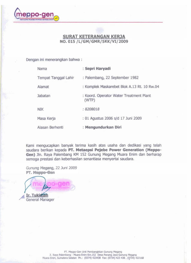 Pengalaman kerja meppogen.compressed | PDF