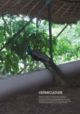 loyal-textiles | PDF