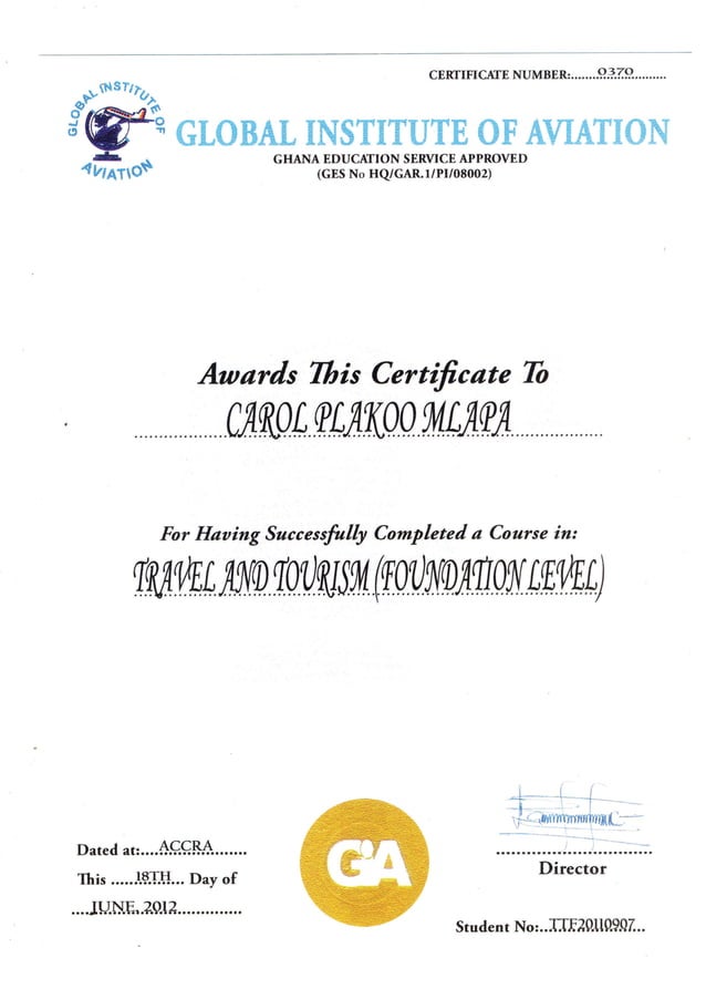 CV_CAROL_NEW_2015[1] (1) | PDF