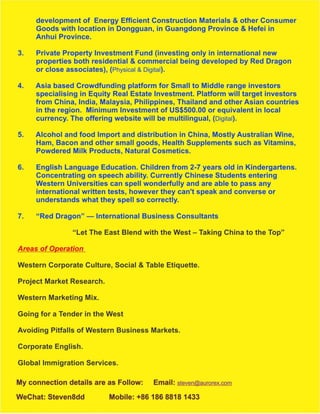 What is Red Dragon Group | PDF