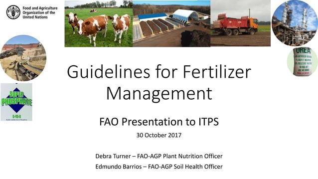 Guidelines for fertilizers management | PPTX