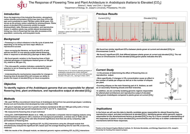 NSF presentation poster | PPT