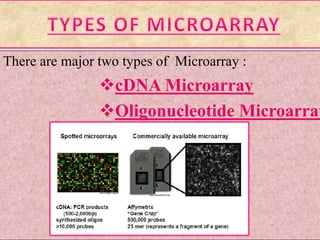 dna microarray | PPTX