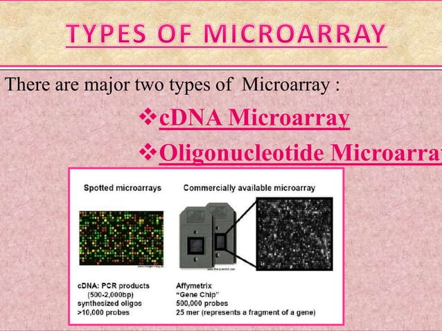 dna microarray | PPTX | Genetics | Science