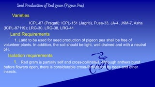 Foundation and certified seed production of Black gram, Green gram and ...