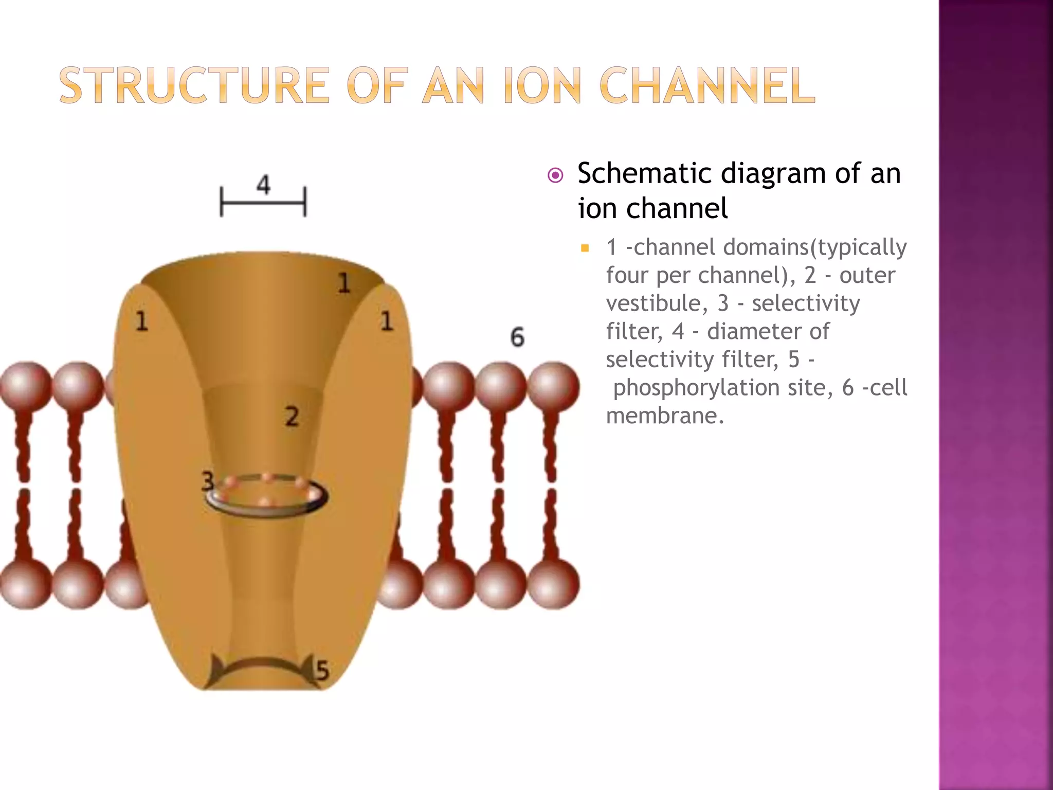 Ion channels as drug target | PPTX