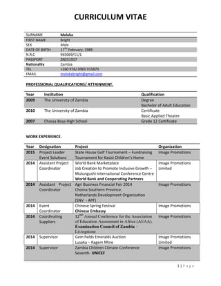 CV BRIGHT 2015 March | PDF