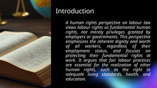 Human rights perspective on labour law pptx | PPTX