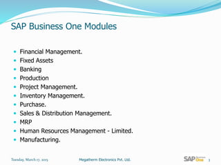ERP on SAP B1-MegathermITS | PPTX