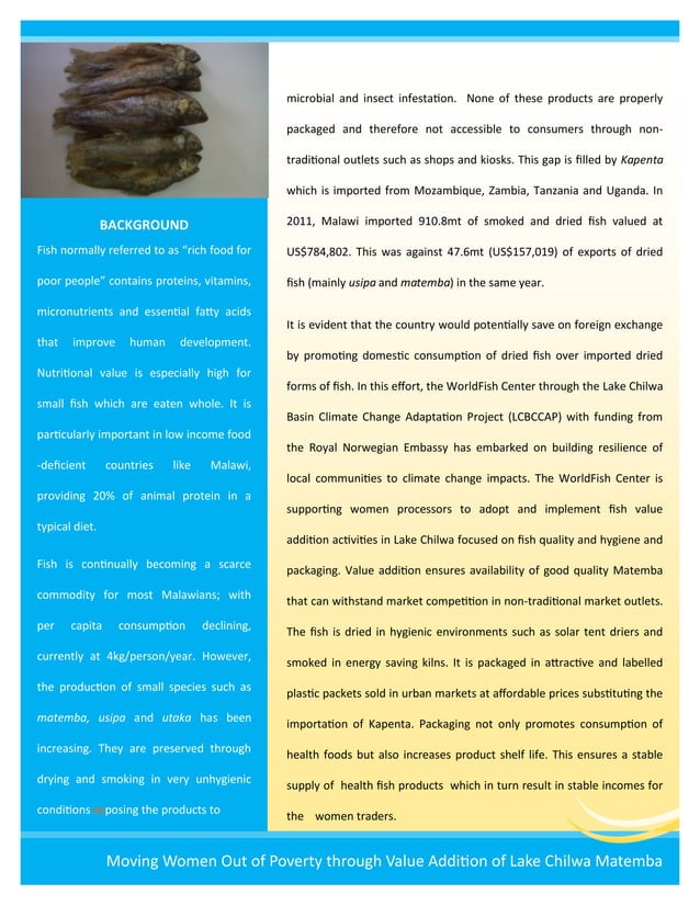 Matemba Value Addition Brochure Publication | PDF