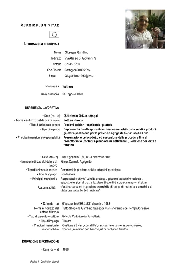 curriculum vitae | PDF