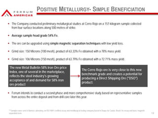 Ferrum Corporate June 2013 (4) | PDF