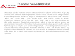 Ferrum Corporate June 2013 (4) | PDF