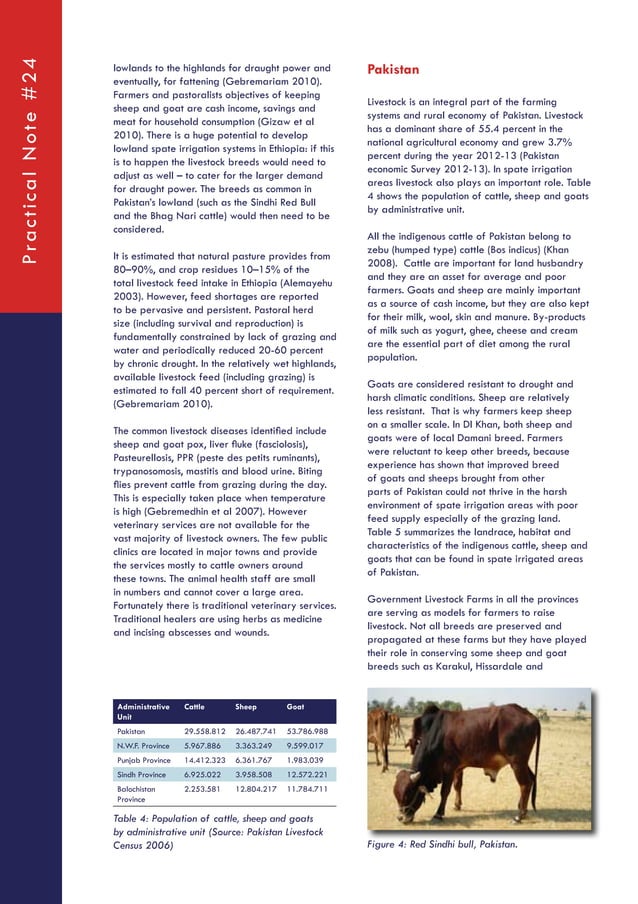 PN24_Livestock_breeds_SF | PDF