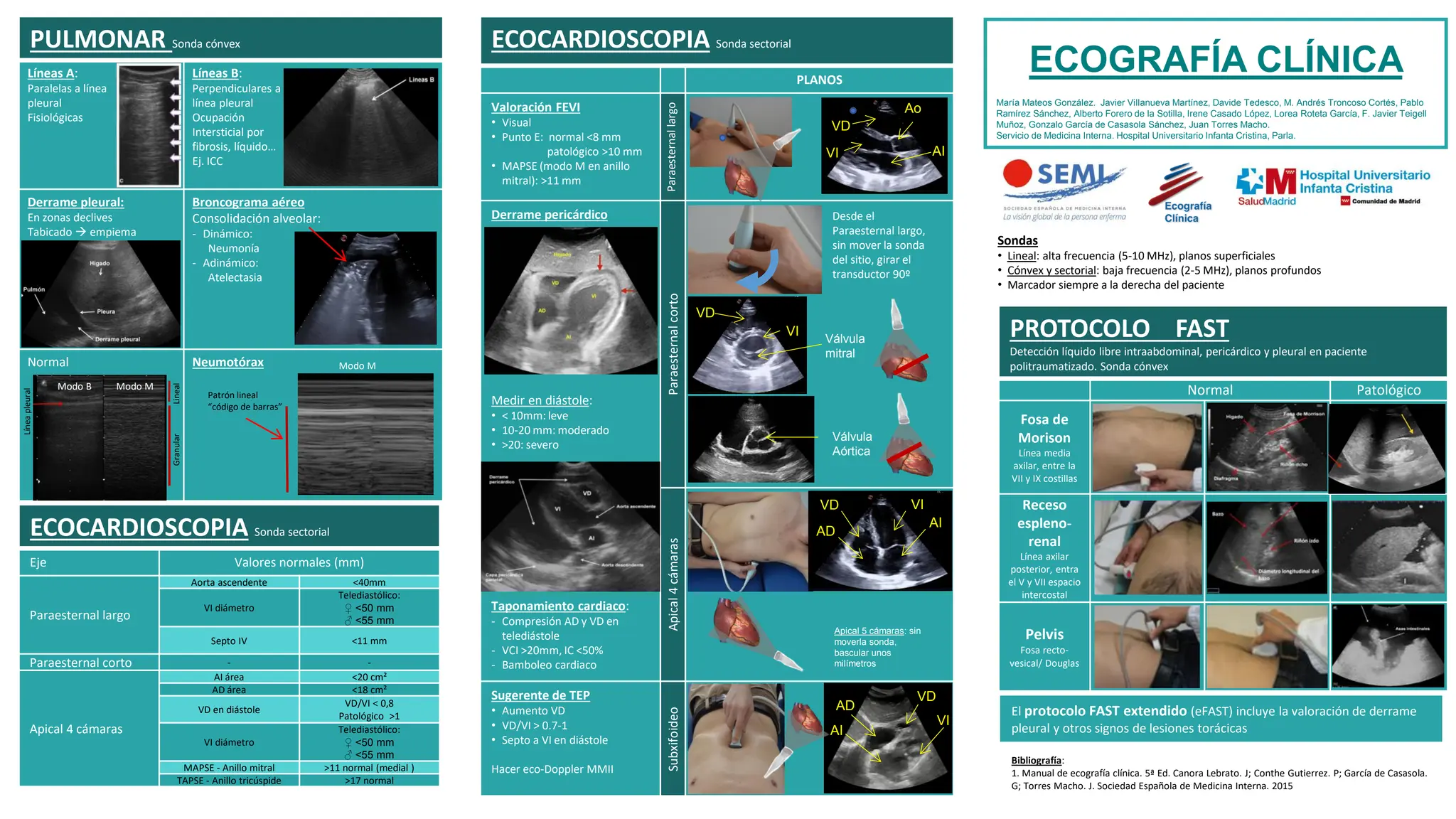 Ecografía clínica de bolsillo tríptico | PDF