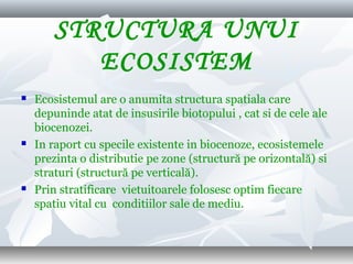 0 ecosistemul cls_viii (1) | PPT