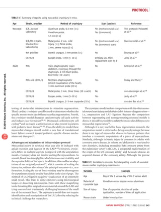 Cryoinjury_nature protocols | PDF