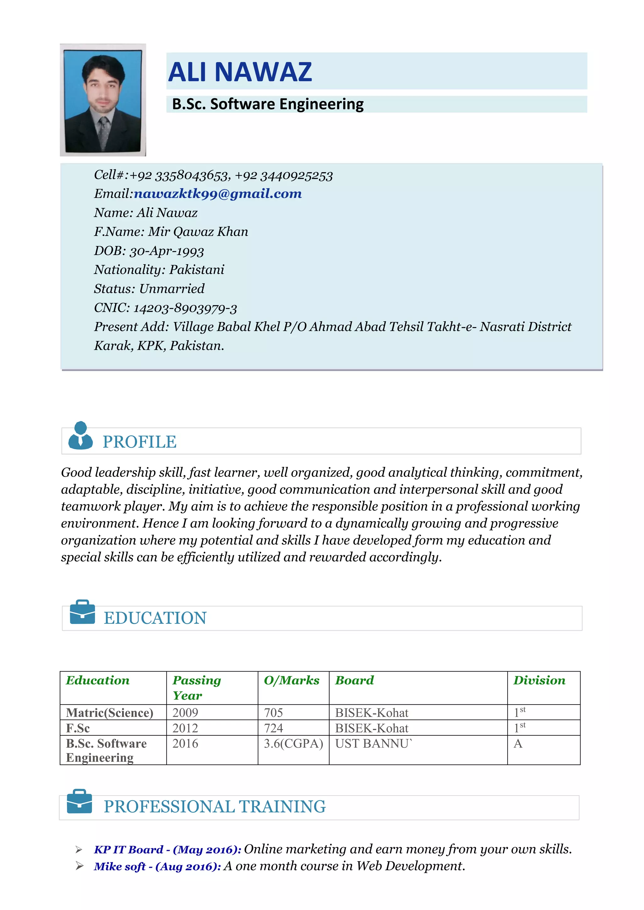 Ali CV Formate 1 | PDF