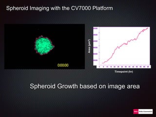 Spheroid Imaging with CV7000 System | PPTX