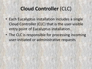 Eucalyptus_en | PPTX