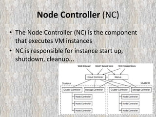 Eucalyptus_en | PPTX