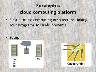 Eucalyptus_en | PPT