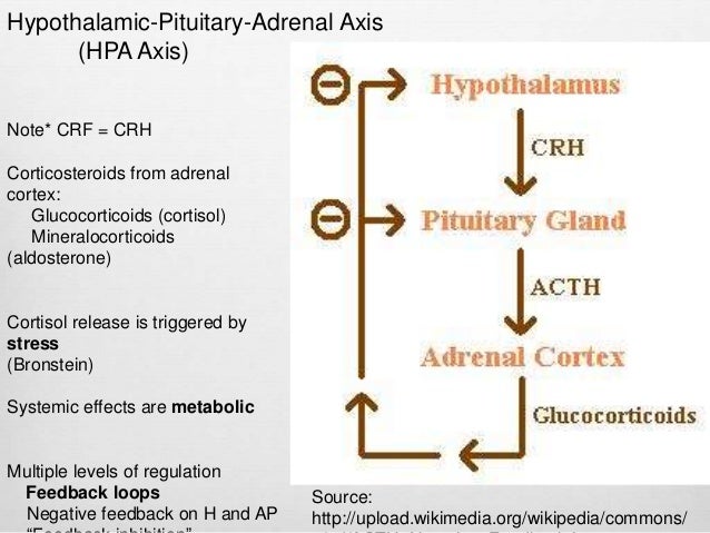 Cushings Presentation with Citations