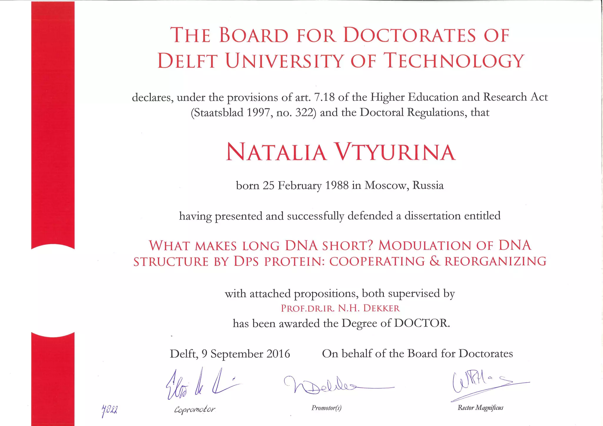 PhD diploma diploma_N.Vtyurina | PPT | Free Download
