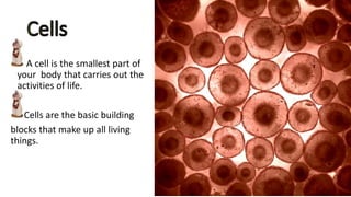 cells power point | PPTX