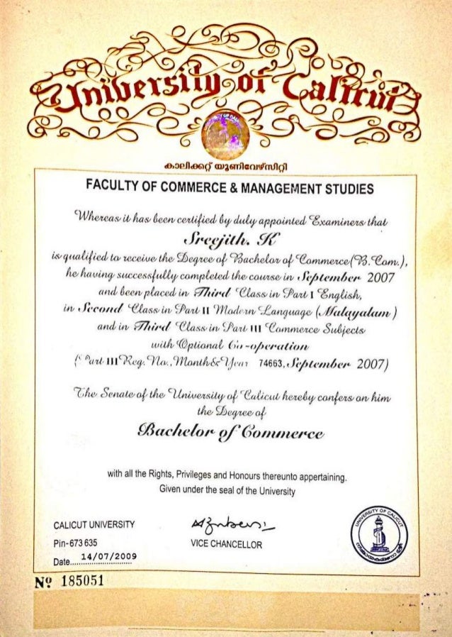 Bachelor Degree Certicicate