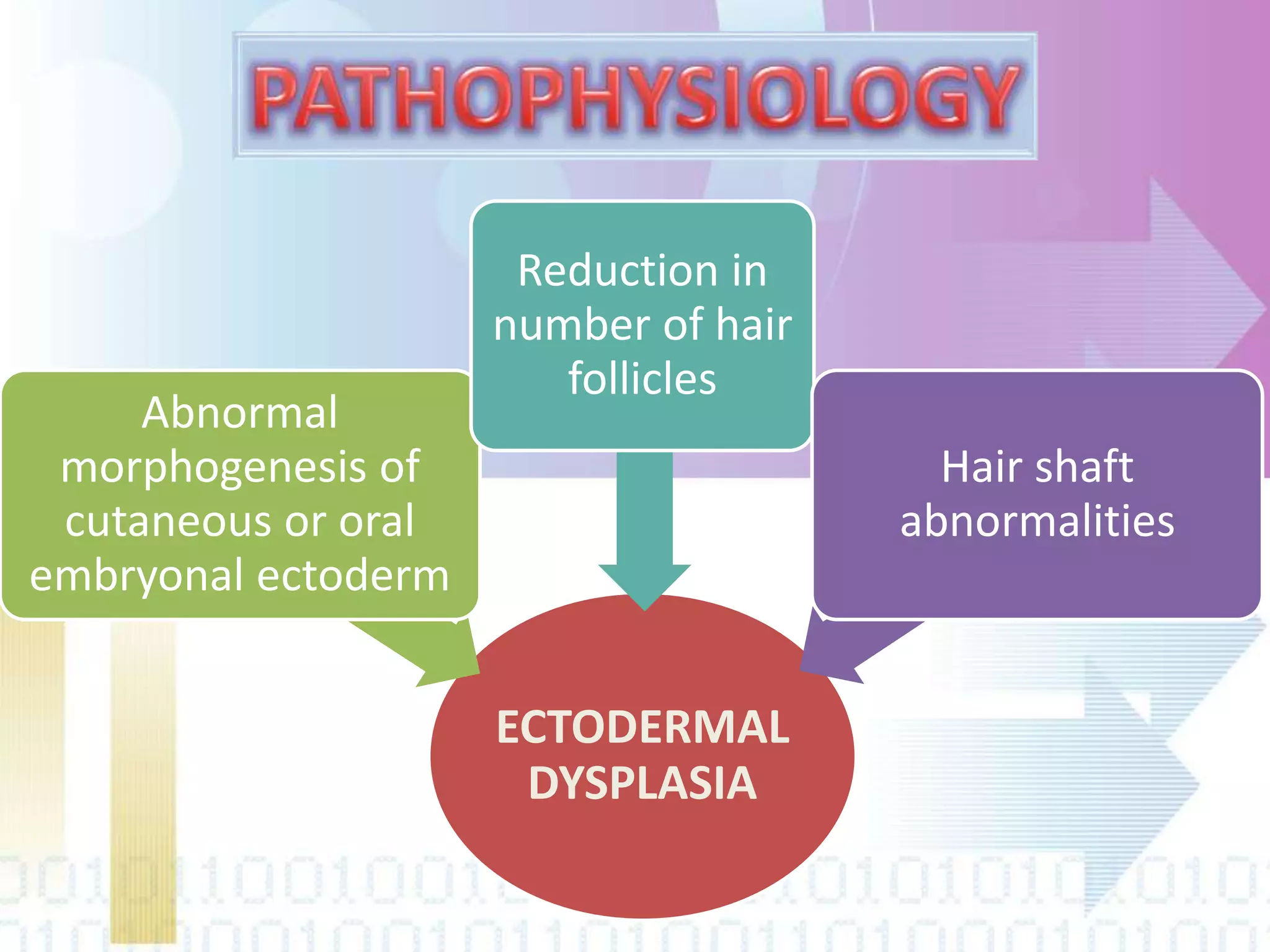 Ectodermal dysplasia | PPTX