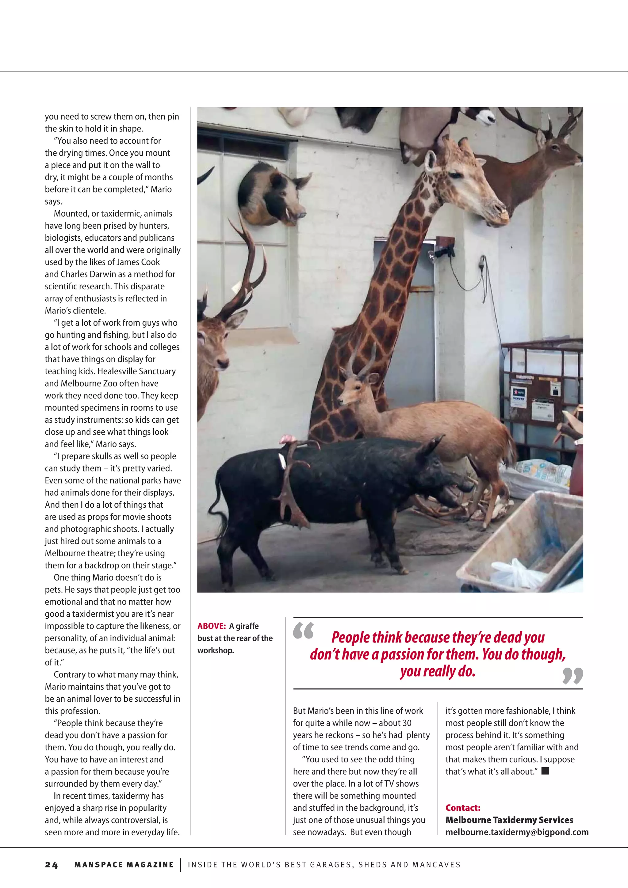 Melbourne Taxidermy | PDF