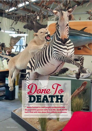 Melbourne Taxidermy | PDF