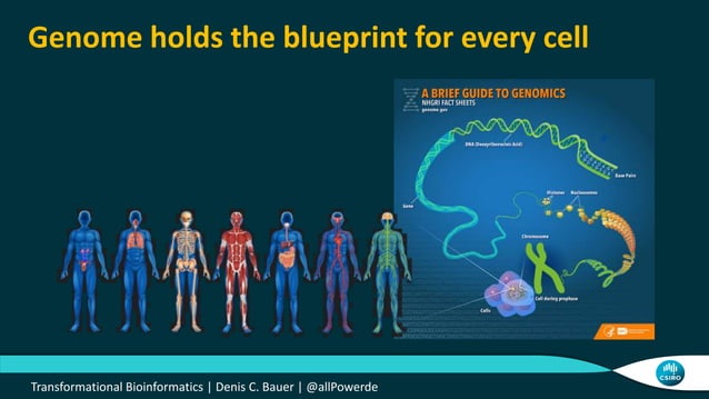 Genomic Scale Big Data Pipelines | PPTX | Cloud Computing | Internet