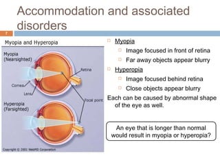 Visual System Structure and Function | PPT