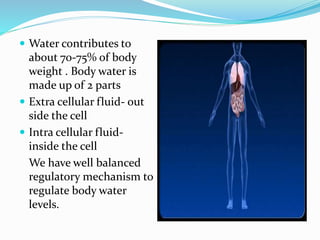 Hydration in sports | PPTX