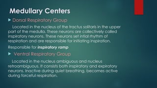 Respiratory_Regulation_.......Physiology.pptx