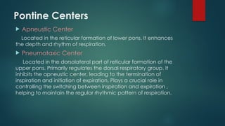 Respiratory_Regulation_.......Physiology.pptx