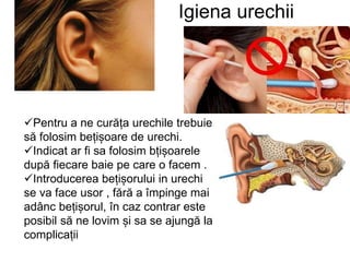 0_igiena_personala.pptx